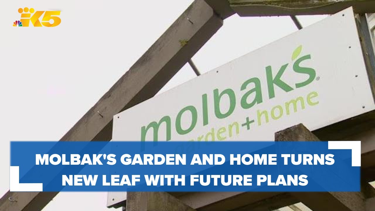 King 5 Seattle: Molbak's Garden and Home Gets New Life with Green ...