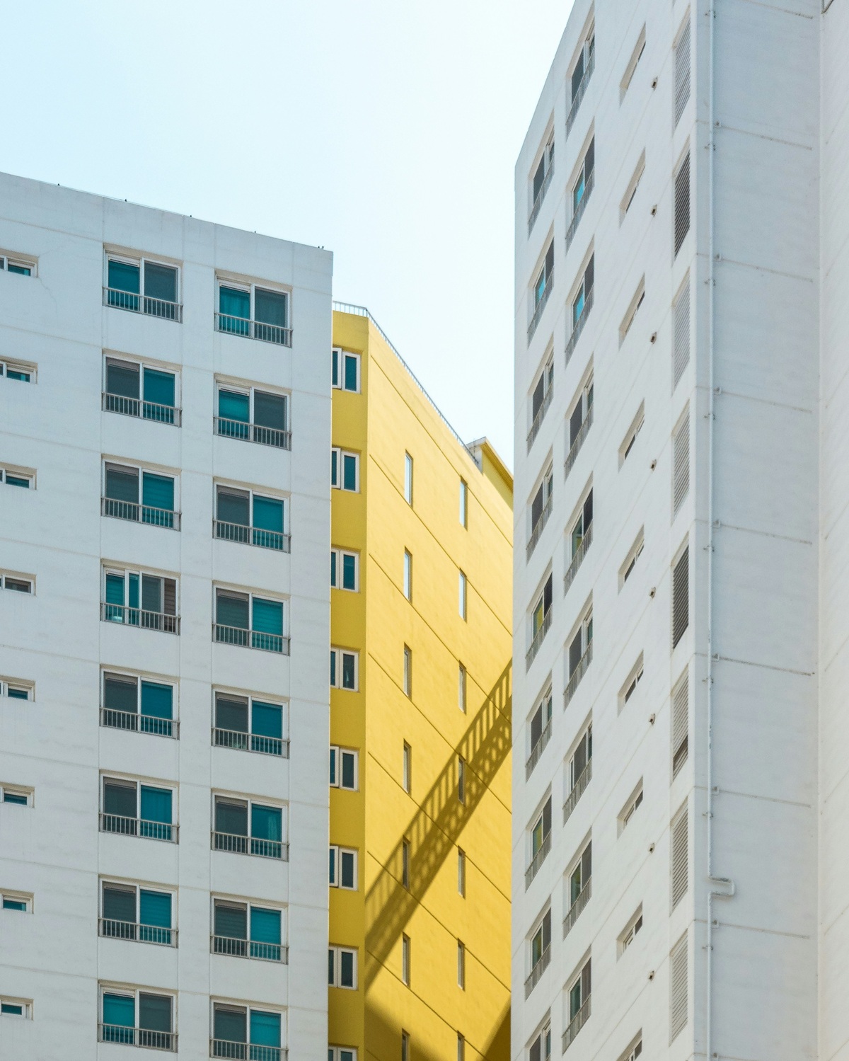 YWCA Taps Truebeck to Raze Century-Old Belltown Building for 83-Unit ...