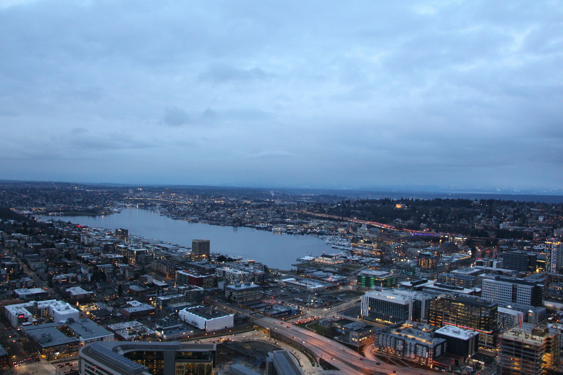 Seattle Life Sciences Market Faces Headwinds Despite Strong Research ...