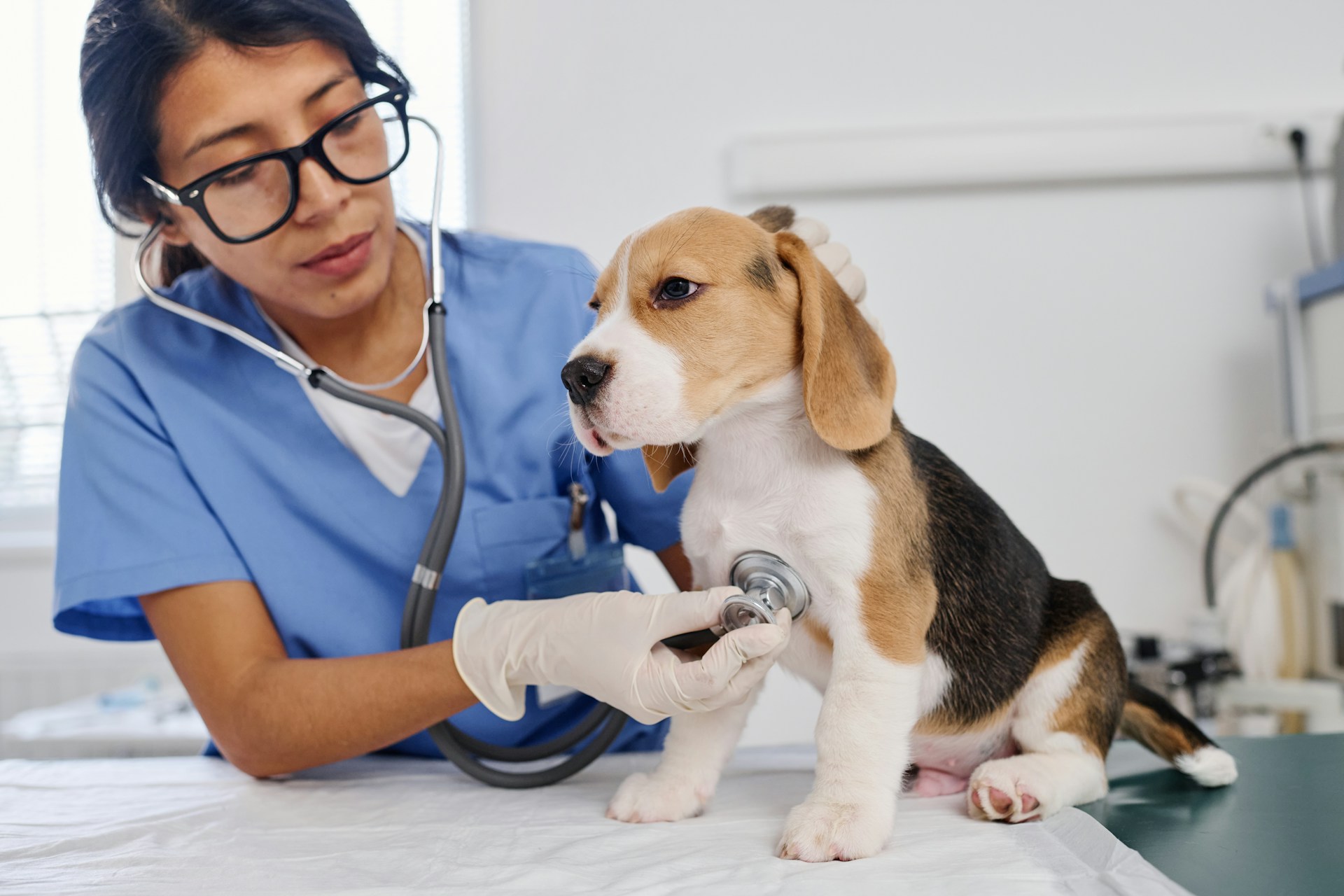 Mission Pet Health's Livewell Brand Targets Seattle Region with Retail ...